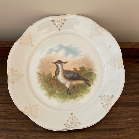 Dining | Antique 9 Bavarian Porcelain Game Bird Plate Trimmed In Gold ...